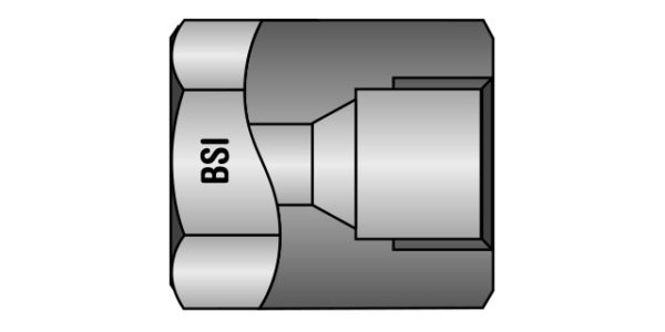 BSI Compressed Gas Service Connections - GFP - GasFlo Products ...